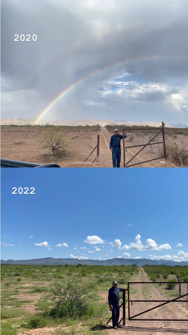 Boomitra | Carbon Removal Through Agricultural Soils